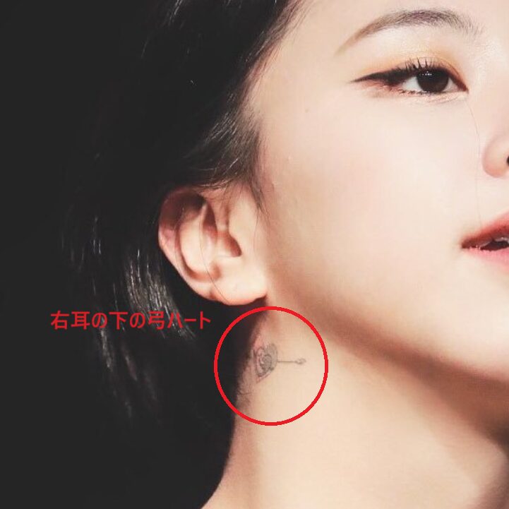 TWICEのタトゥー入れてるメンバーはチェヨンとモモ！全場所と意味を解説 | nemlog