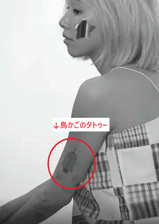 TWICEのタトゥー入れてるメンバーはチェヨンとモモ！全場所と意味を解説 | nemlog